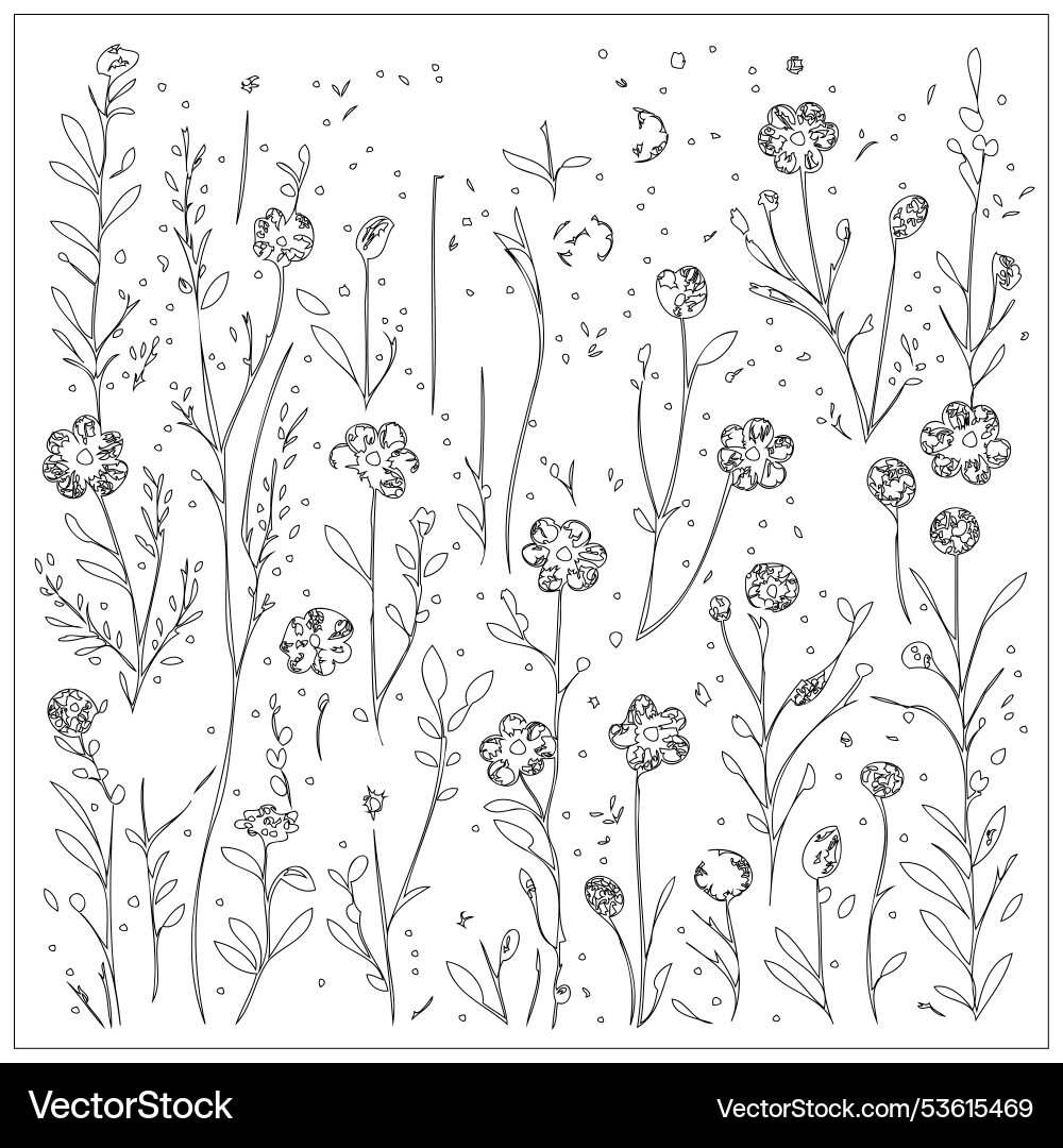 Wildflowers flower pattern outline sketch Vector Image