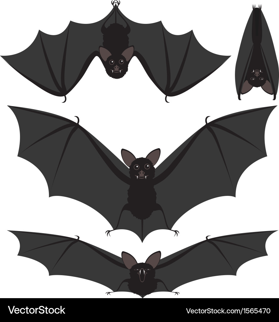 Bat Royalty Free Vector Image - VectorStock