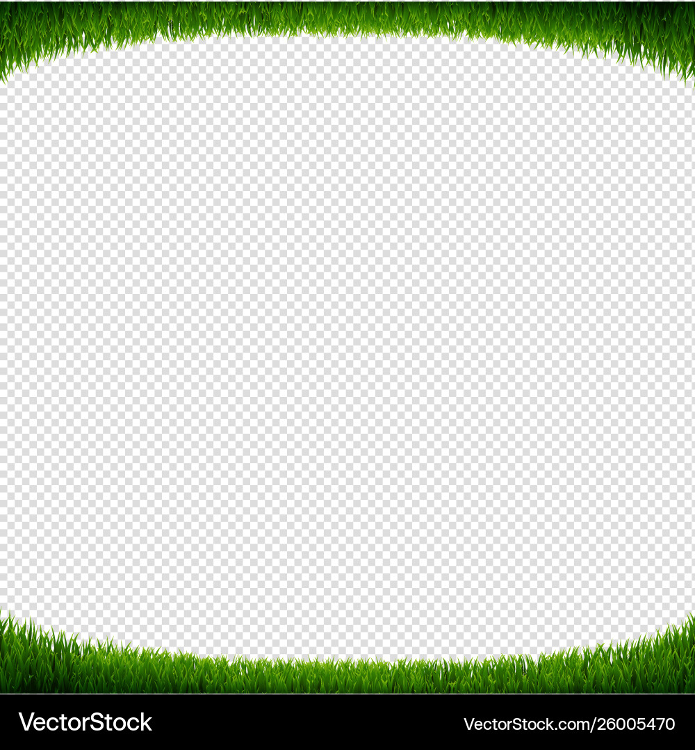 Green grass frame transparent background Vector Image
