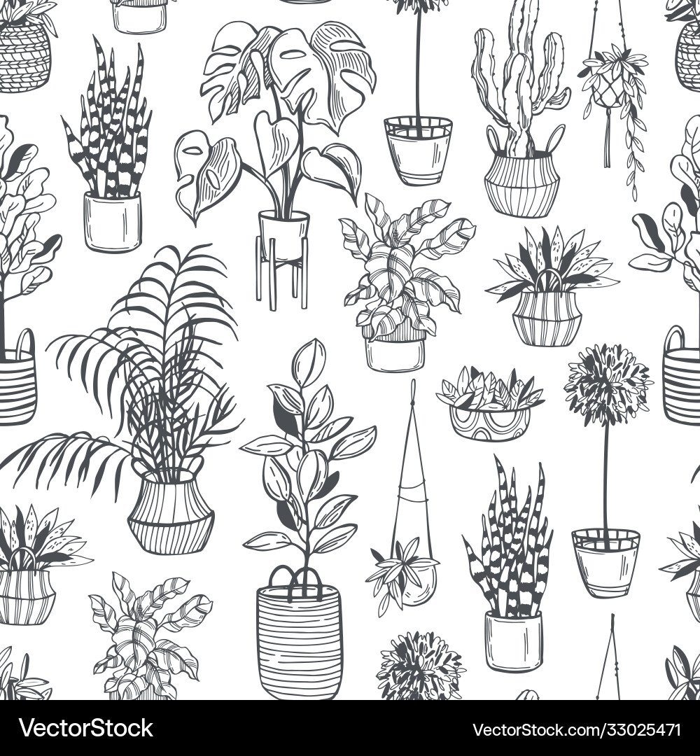 Hand drawn house plants seamless pattern Vector Image