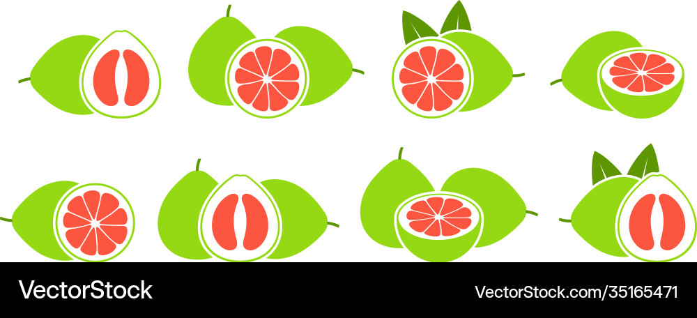 Pomelo Royalty Free Vector Image - VectorStock