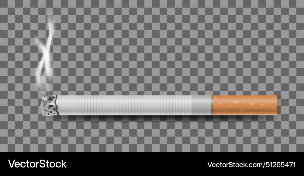 Realistic cigarette and smoke on transparent Vector Image