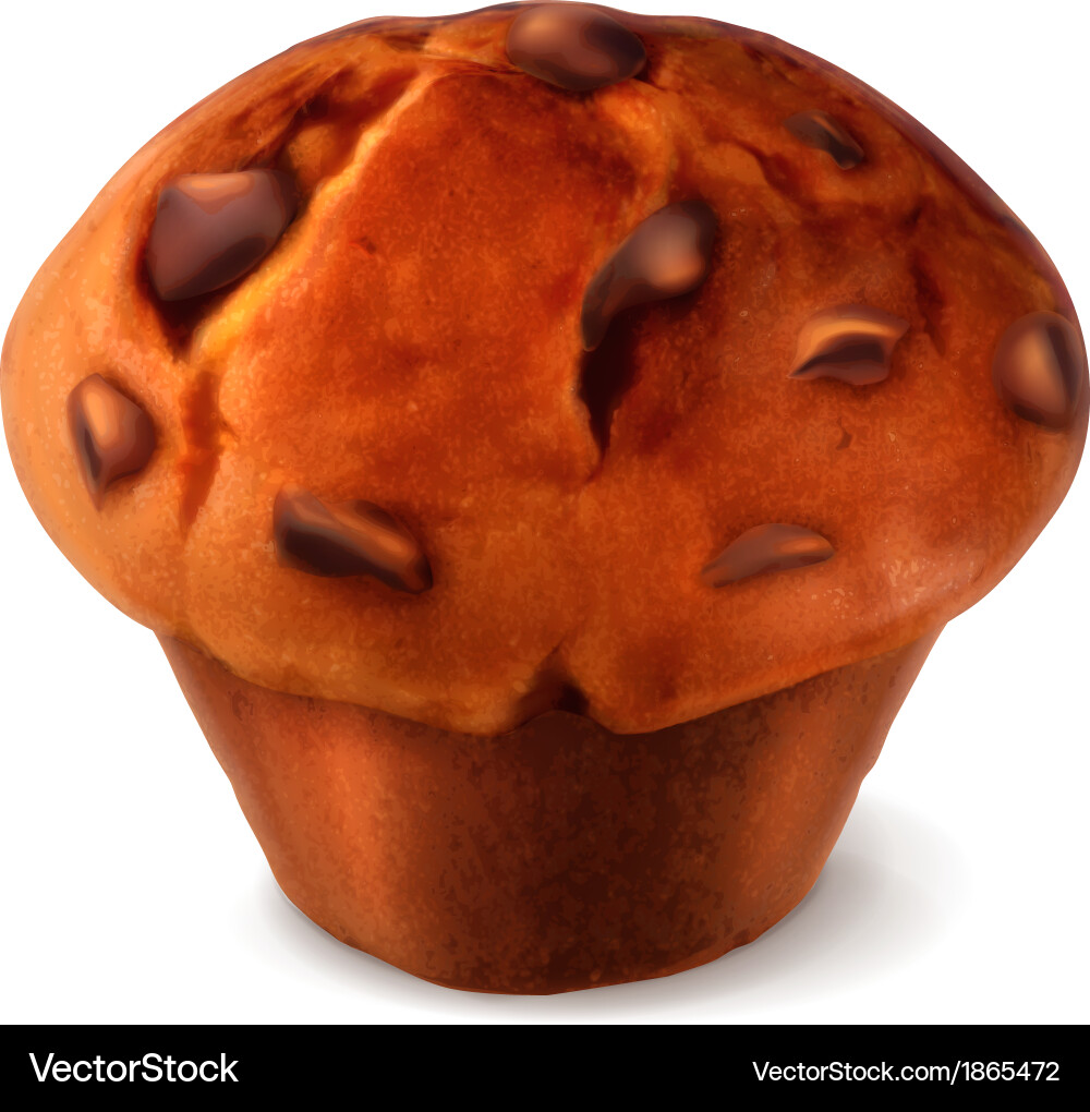 Muffin detailed Royalty Free Vector Image - VectorStock