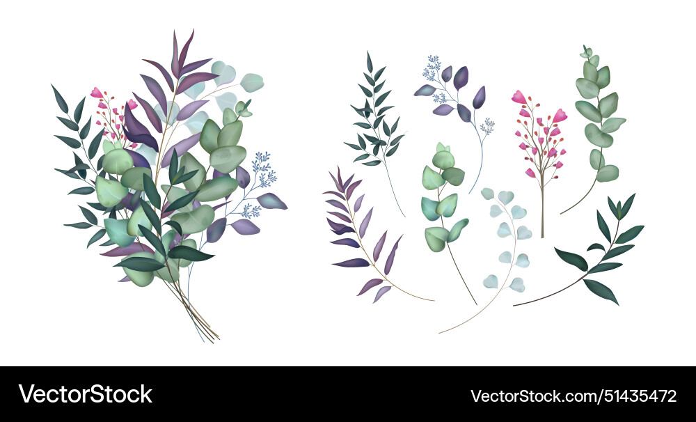 Watercolor leaf eucalyptus branch nature wedding Vector Image