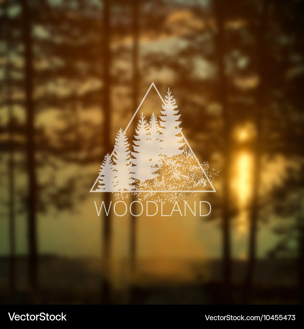 Forest Triangle Logo Royalty Free Vector Image