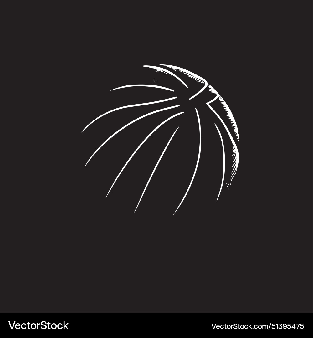 Basketball - black and white isolated icon Vector Image