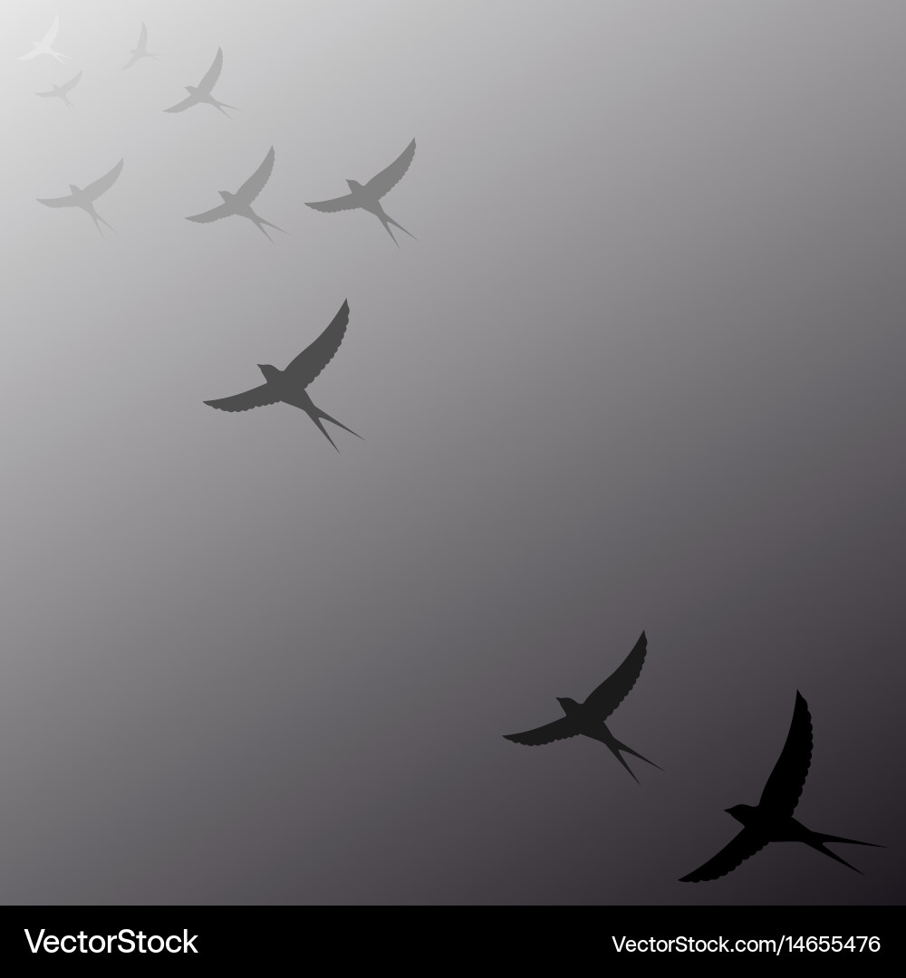 Birds in Flight - Scenic Escape Royalty Free Vector Image