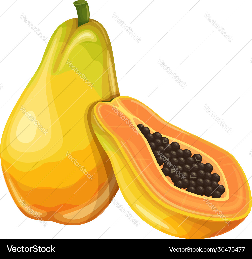 Papaya Vector Images (over 12,000)