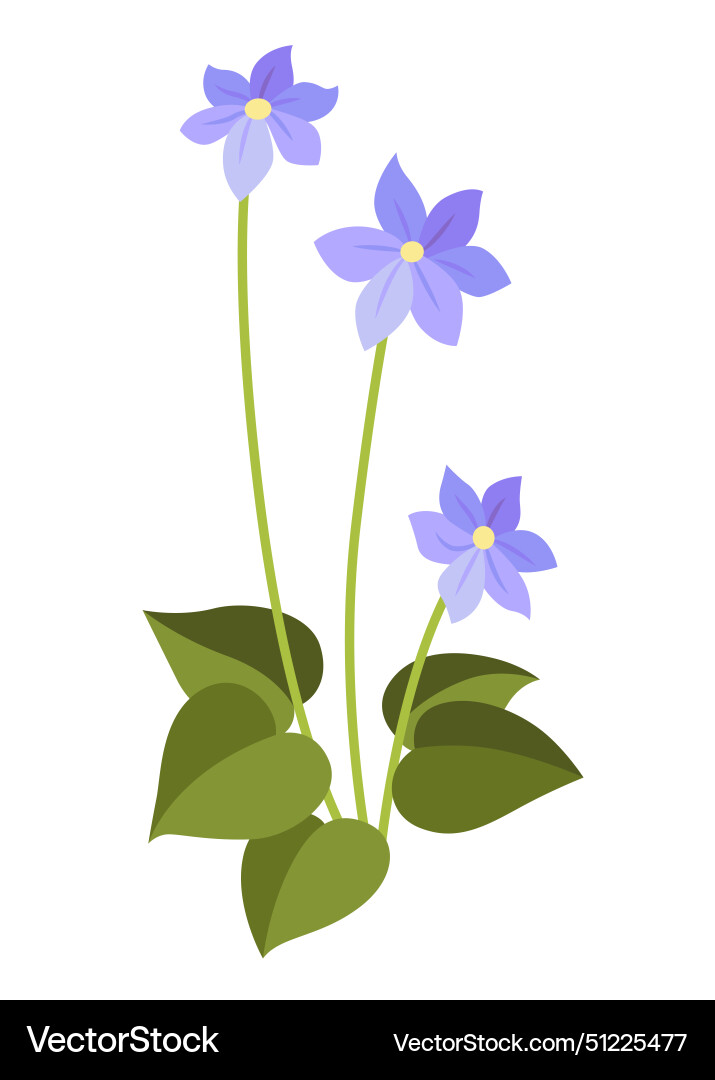 Spring flower icon floral element in watercolor Vector Image
