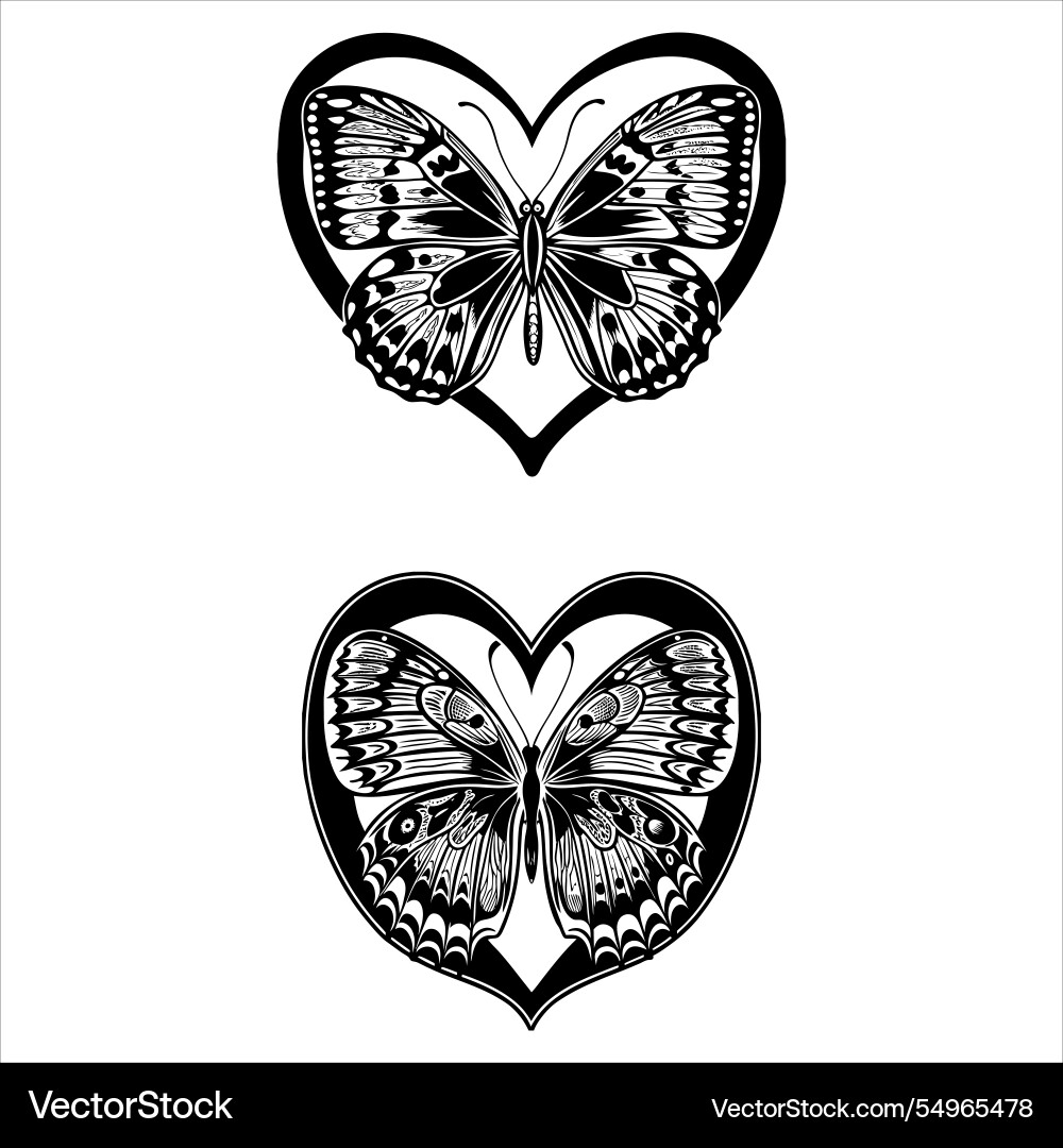 Butterflies couple Royalty Free Vector Image - VectorStock