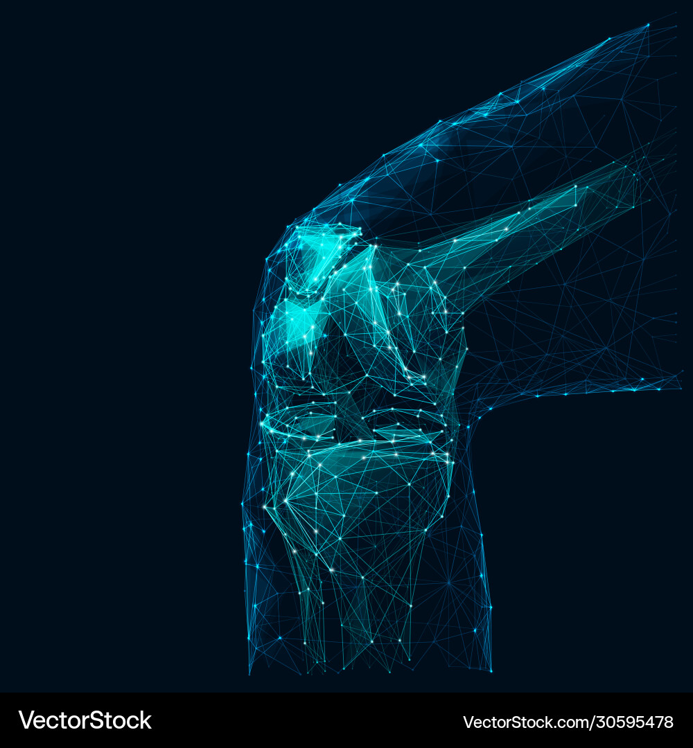 Human knee low poly wireframe Royalty Free Vector Image