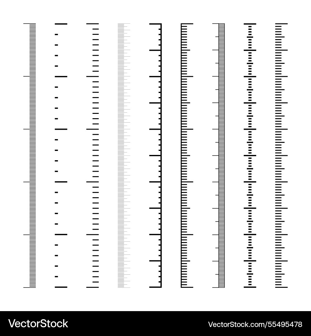 Vertical measurement scales with divisions Vector Image
