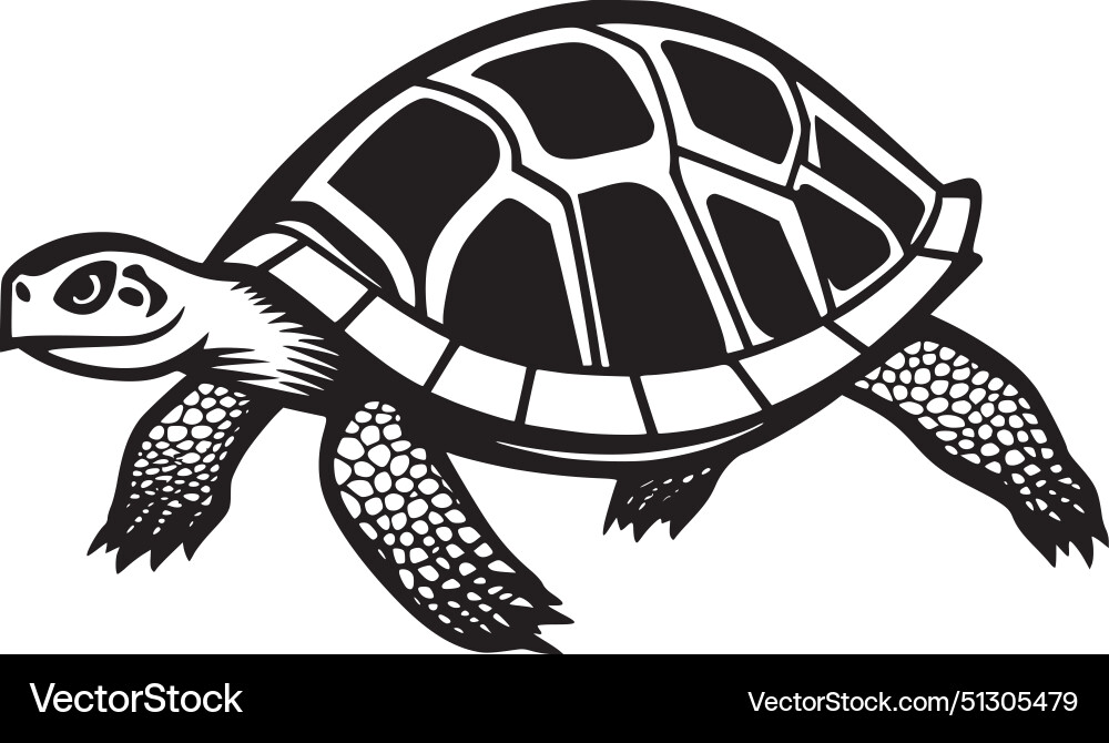 Turtle - minimalist and flat logo Royalty Free Vector Image