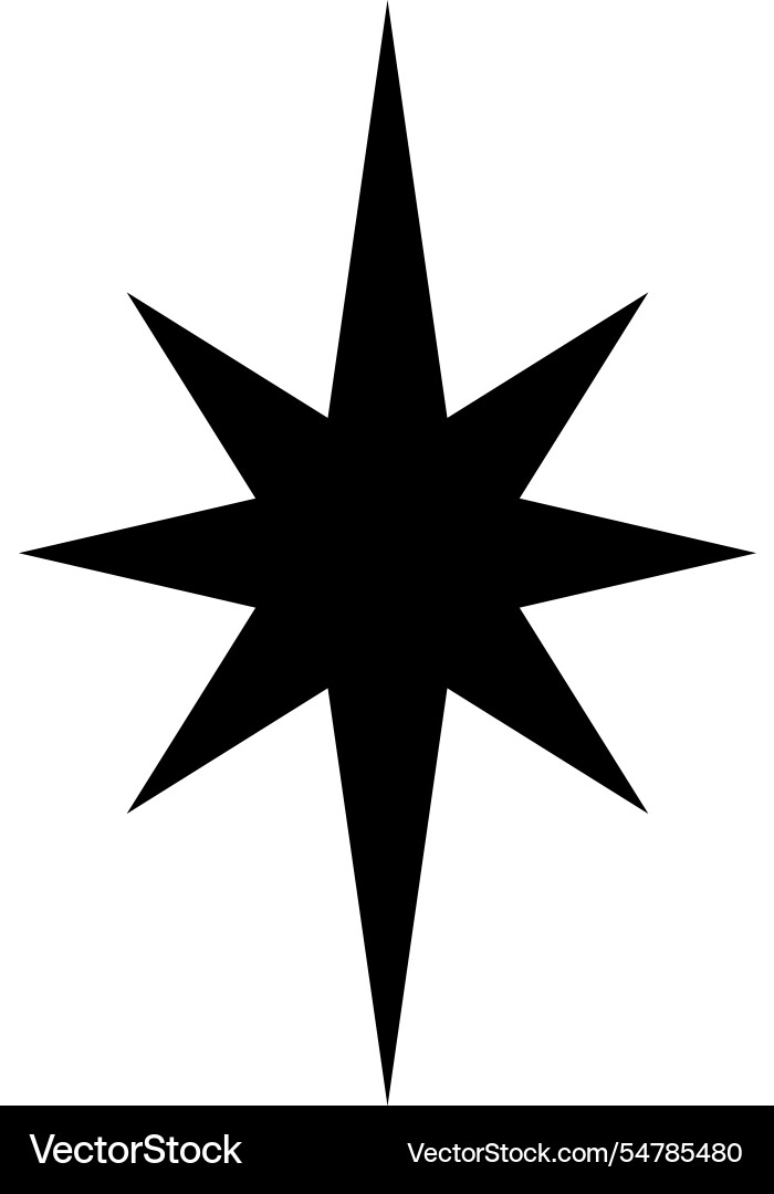 Glittering shiny star festive decoration Vector Image