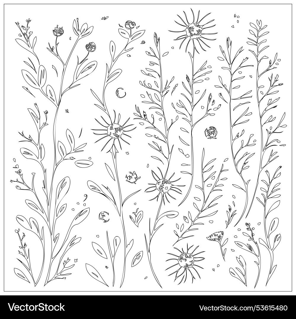 Wildflowers flower pattern outline sketch Vector Image
