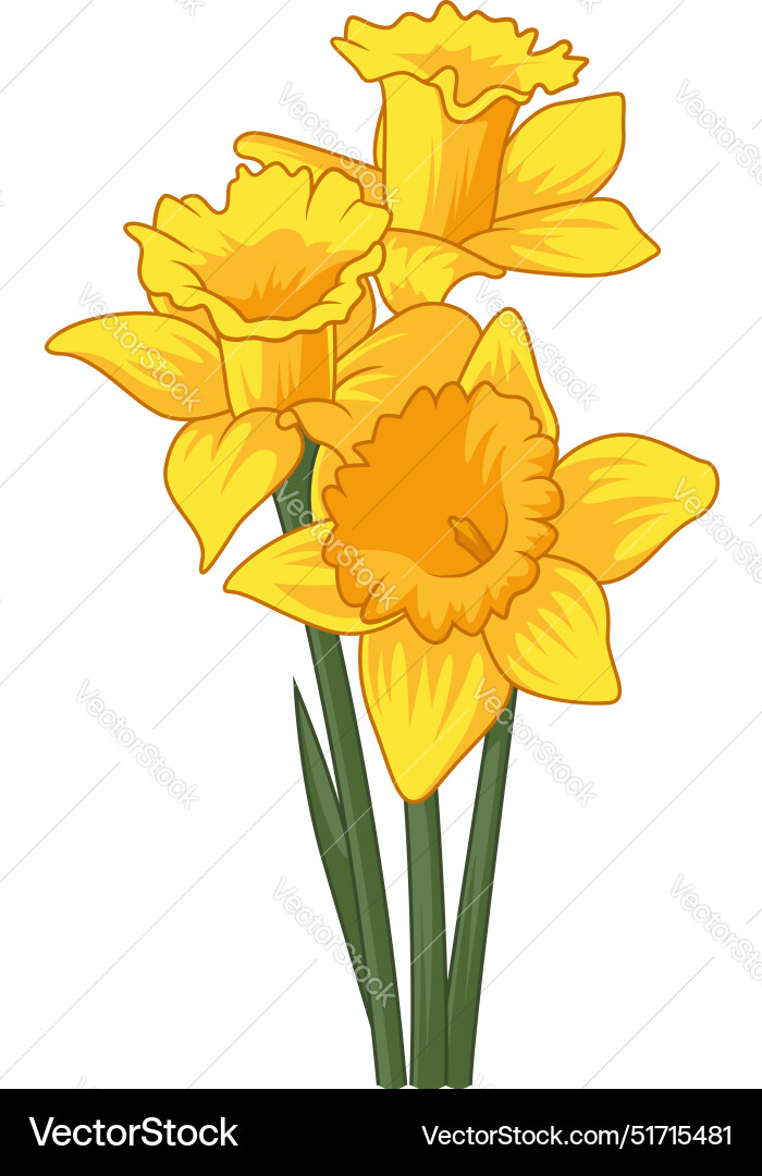Semi-realistic daffodil flower cartoon Royalty Free Vector
