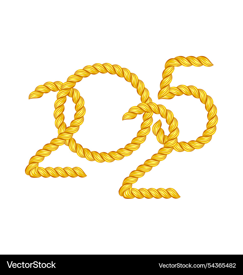 2025 gold twisted rope number thin cord realistic Vector Image