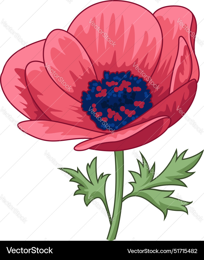 Semi-realistic anemone flower cartoon Royalty Free Vector