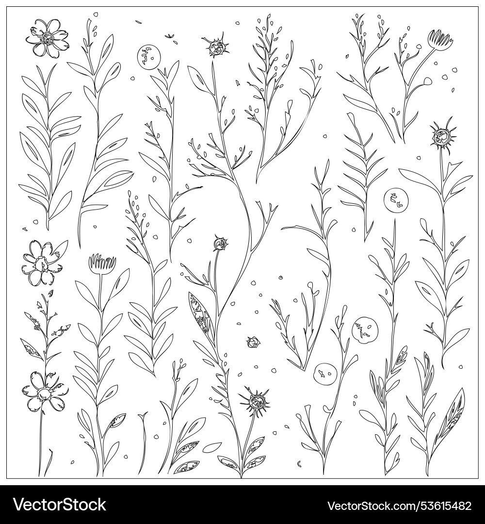 Wildflowers flower pattern outline sketch Vector Image
