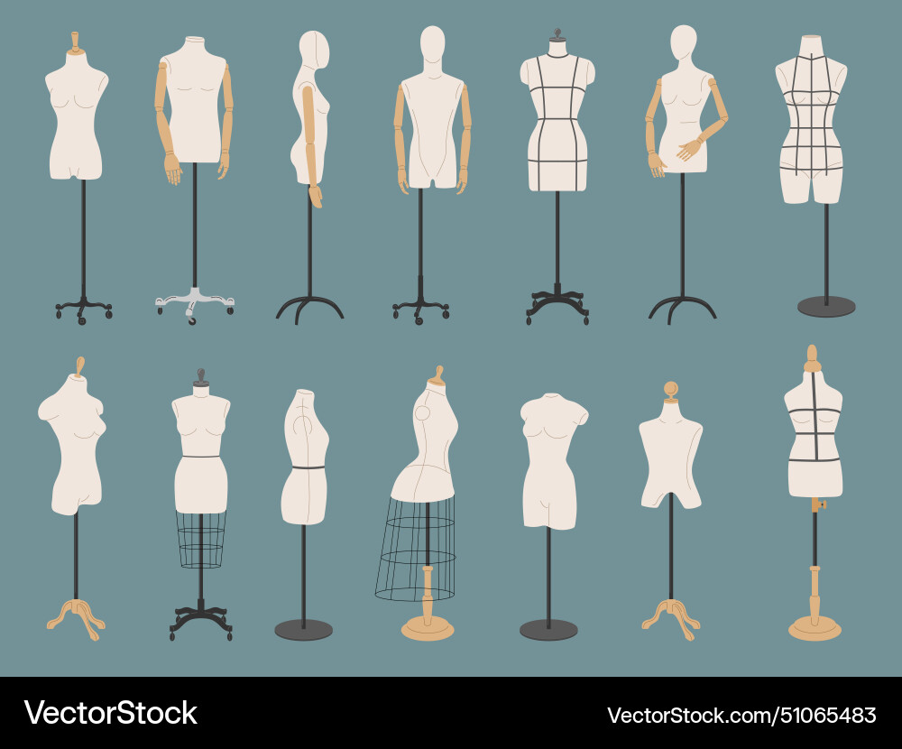 Dummies collection tailor models template Vector Image