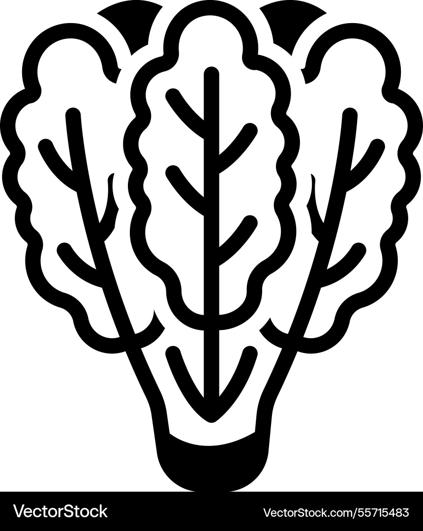 Kale Royalty Free Vector Image - VectorStock