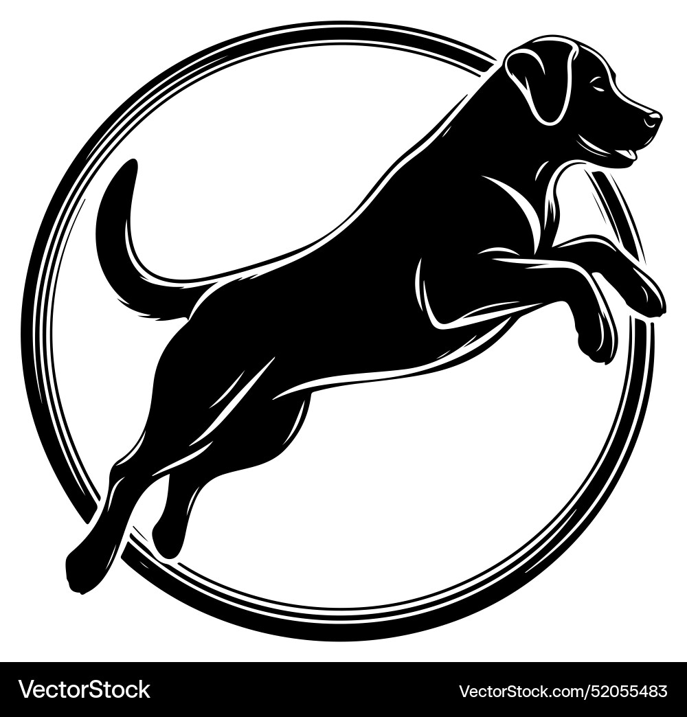 Labrador retriever dog silhouette designisolated Vector Image