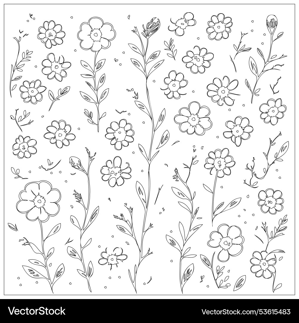 Wildflowers flower pattern outline sketch Vector Image