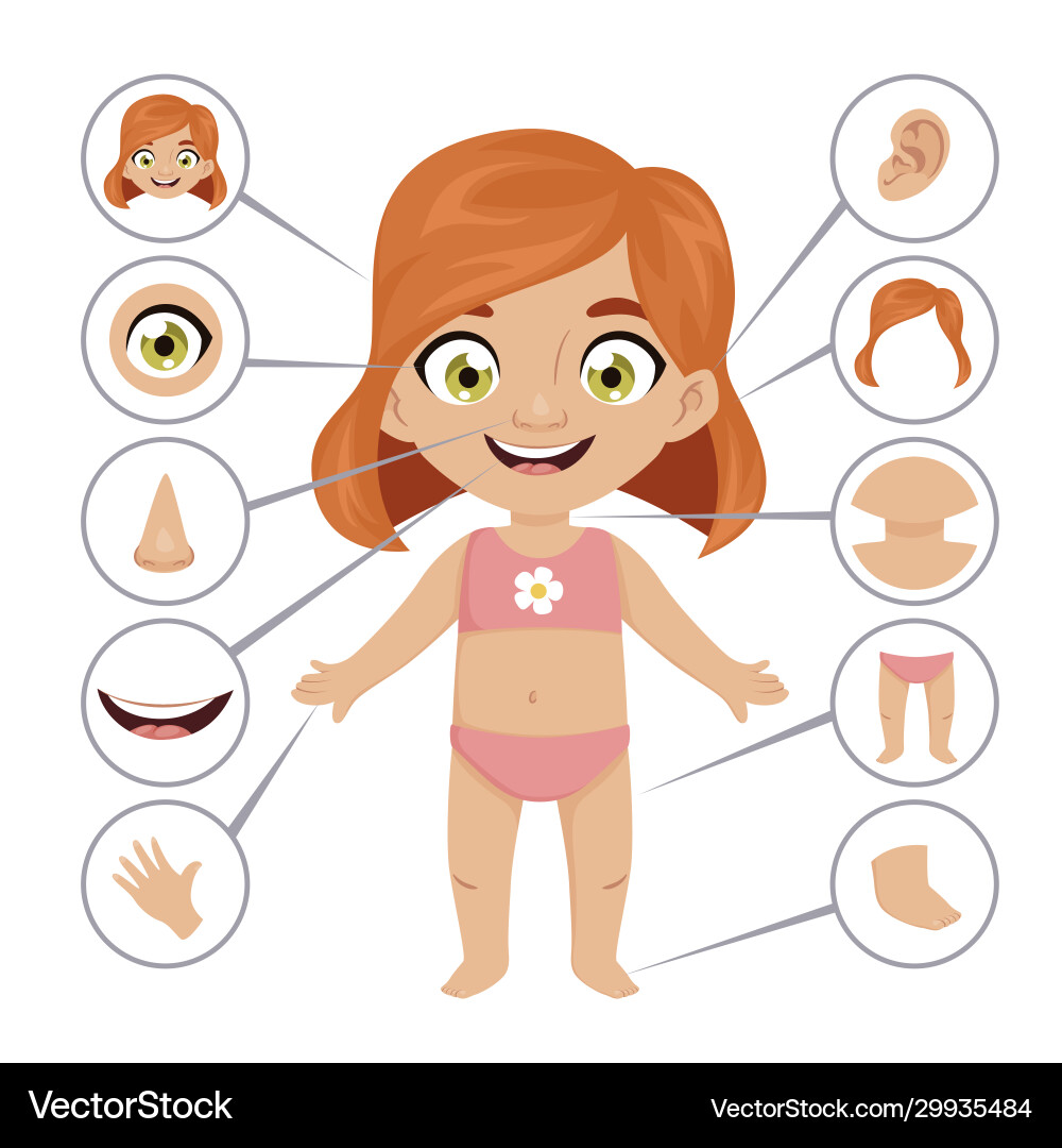 Child Anatomy Educational Poster Royalty Free Vector Image