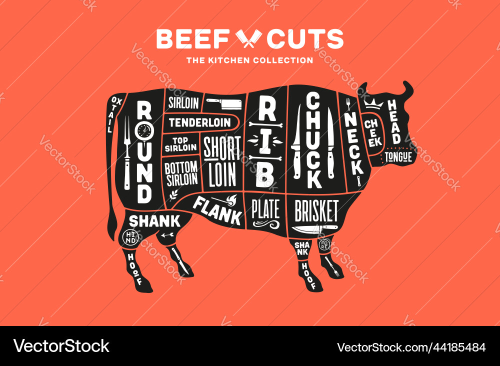 Cow beef scheme diagram chart pork butcher Vector Image