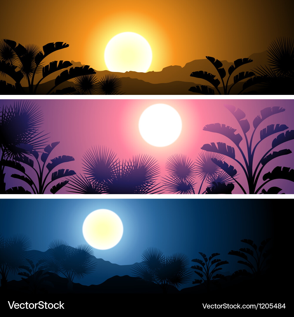 Tropical banners set landscape sun moon and palm Vector Image