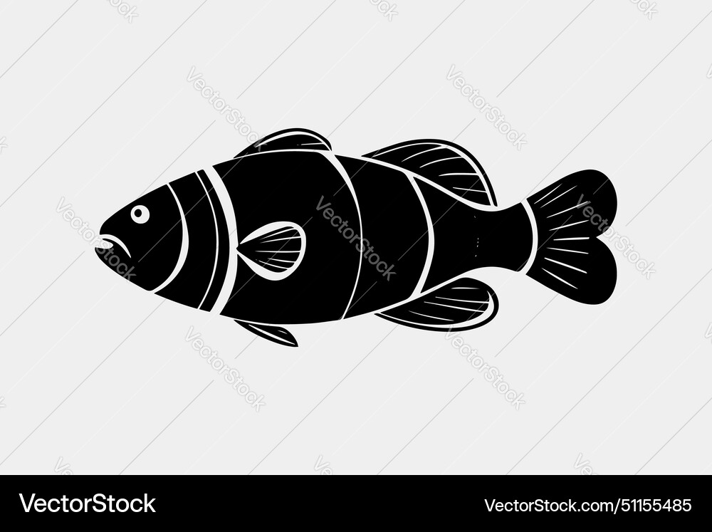 Fish silhouette Royalty Free Vector Image - VectorStock