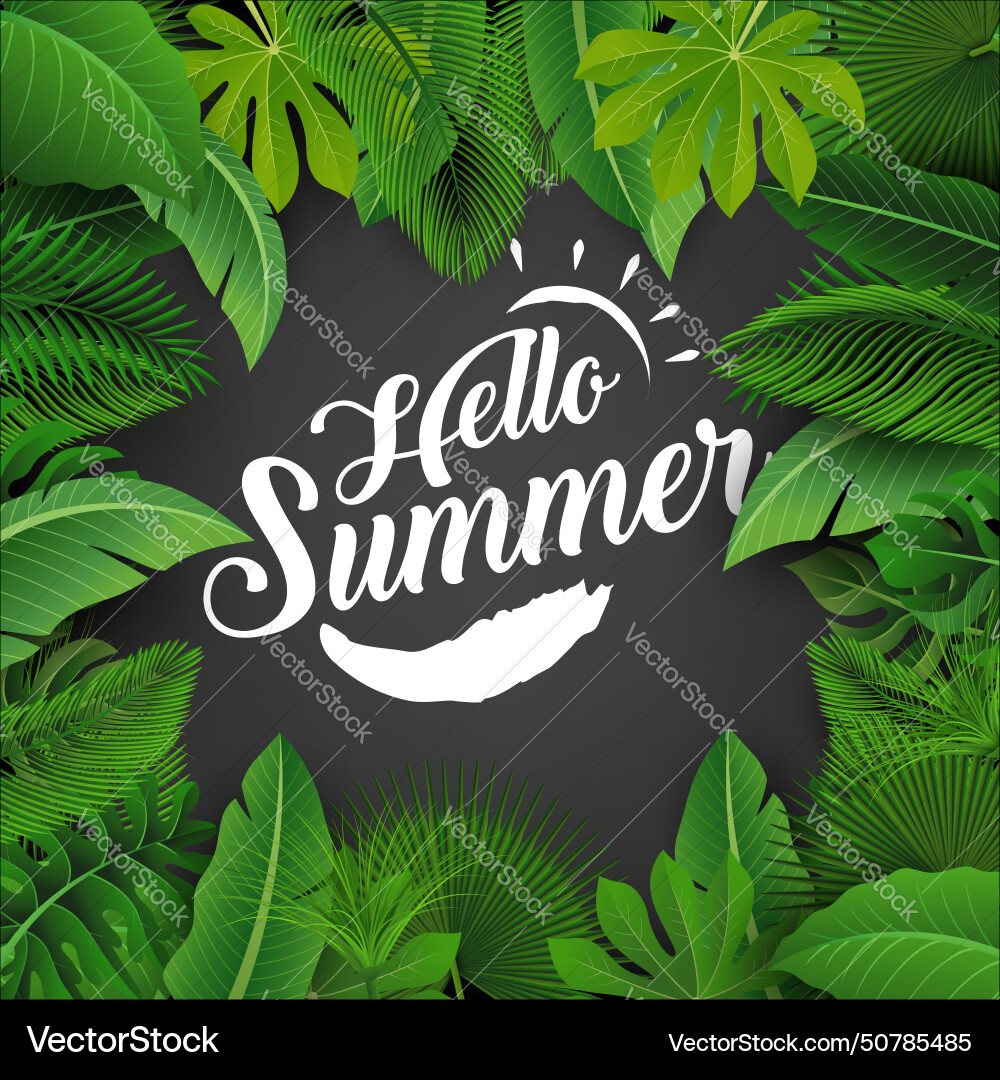 Hello summer sign with tropical leaves suitable Vector Image