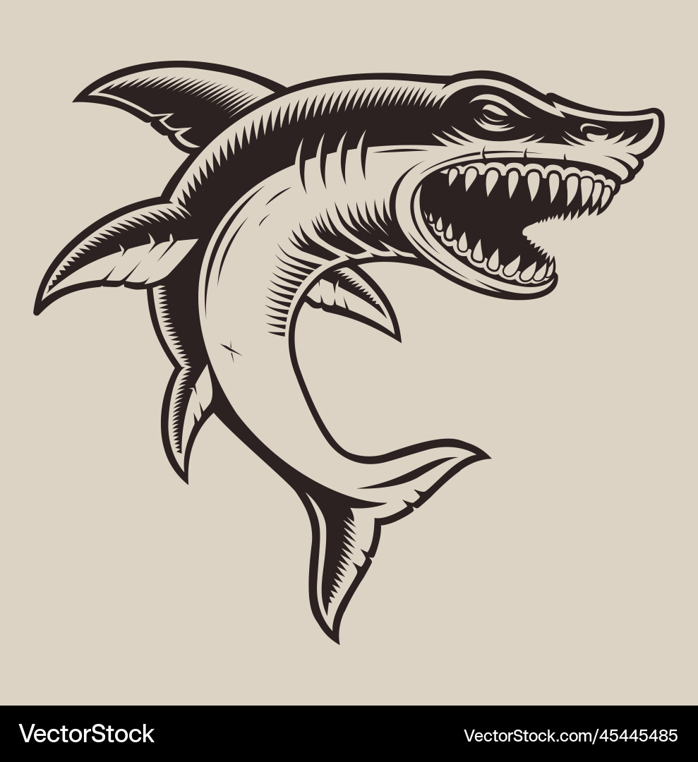 Shark Royalty Free Vector Image - VectorStock