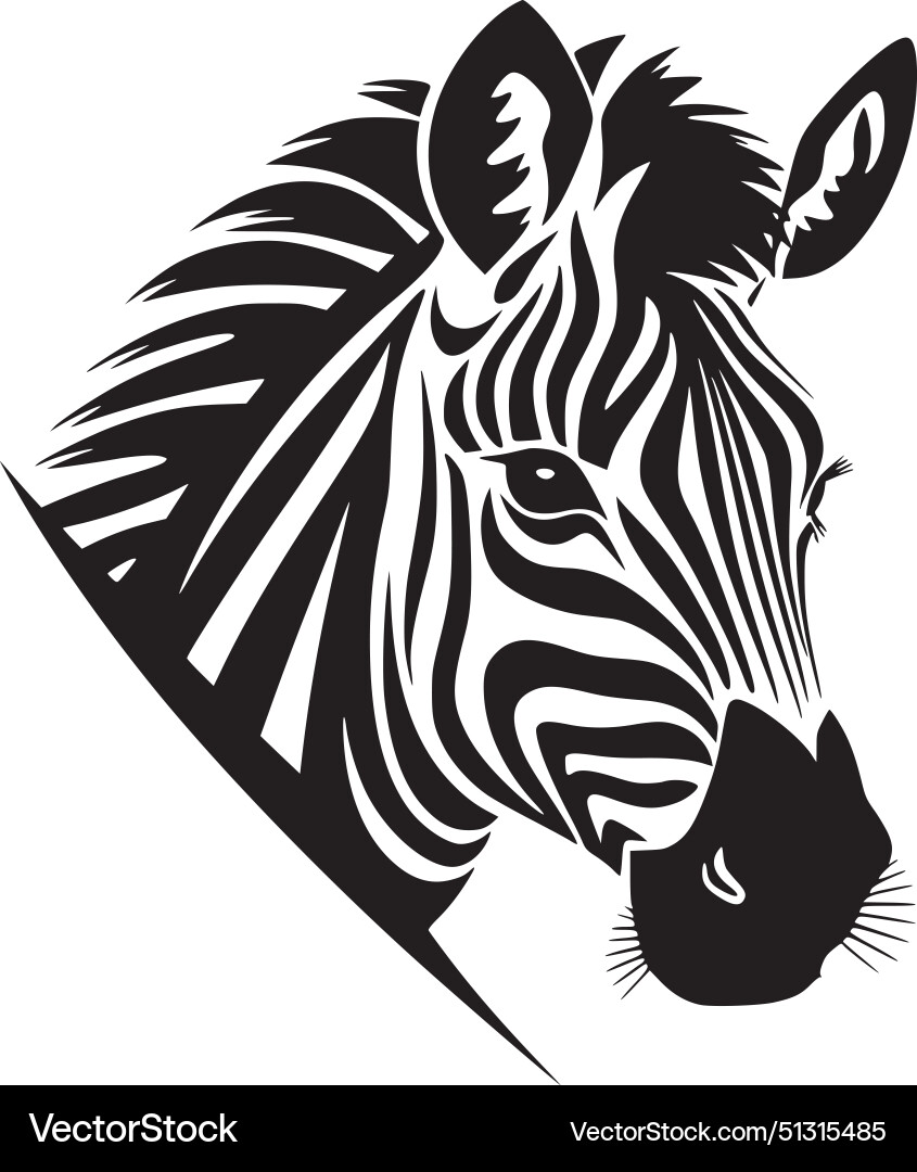 Zebra - high quality logo ideal for t-shirt Vector Image