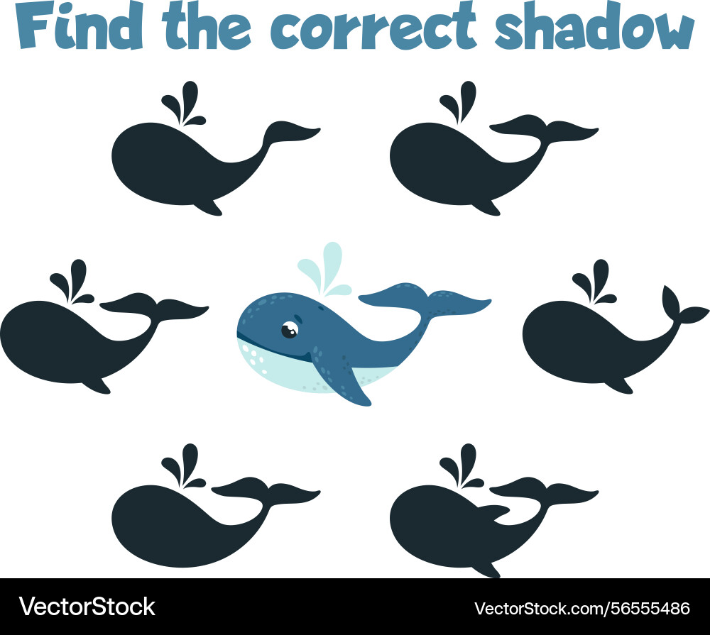 Find correct whale shadow educational game Vector Image