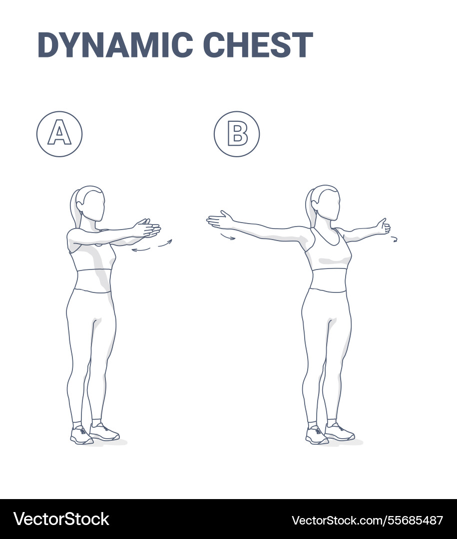 Anatomy Upper Chest Vector Images (45)