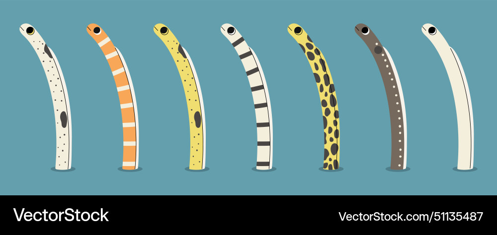 Garden eel 1 Royalty Free Vector Image - VectorStock