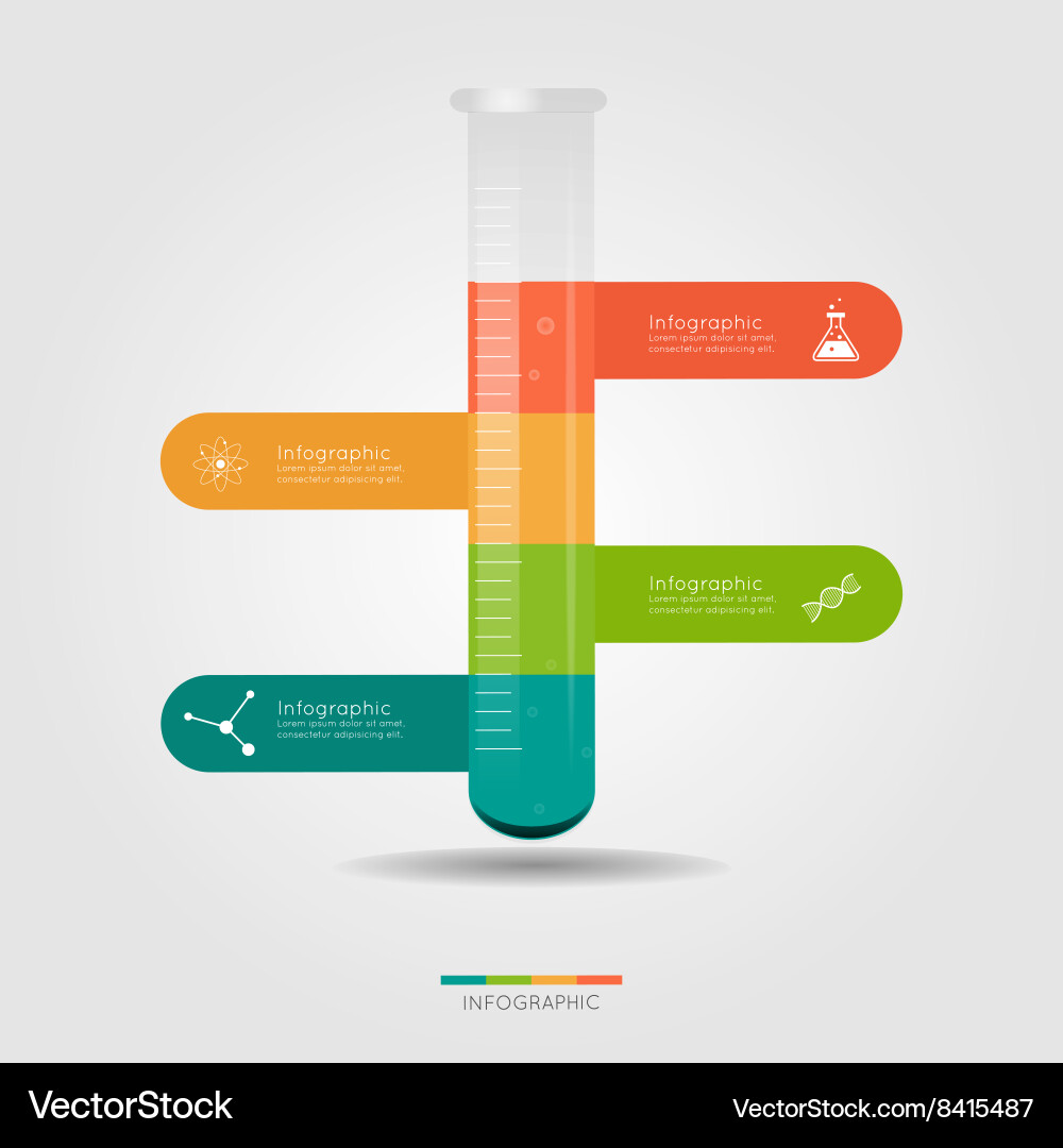 Science Chemistry Bulb Infographic – Royalty-Free Vector | VectorStock