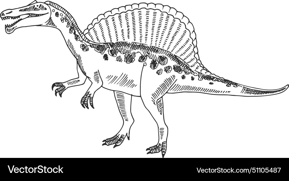 Spinosaurus sketch hand drawn prehistoric Vector Image