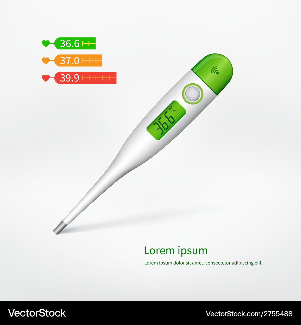 Digital thermometer Royalty Free Vector Image - VectorStock