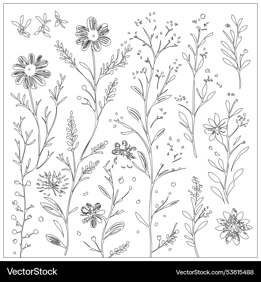 Wildflowers flower pattern outline sketch Vector Image