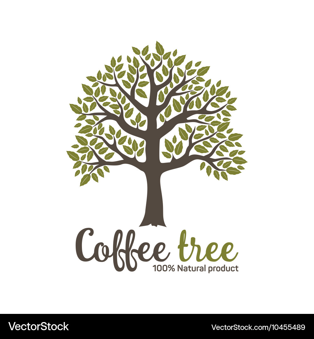 Hand drawn graphic coffee tree Royalty Free Vector Image