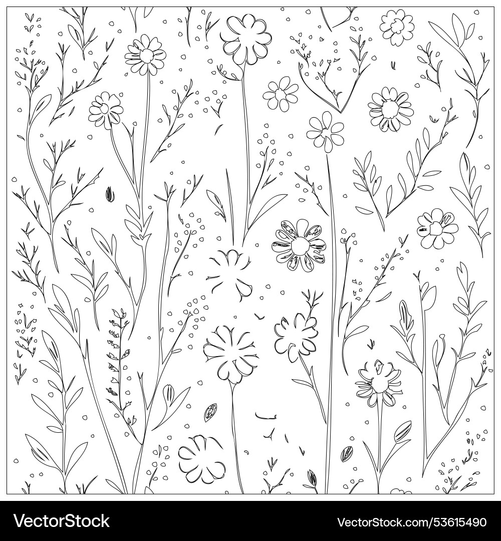 Wildflowers flower pattern outline sketch Vector Image