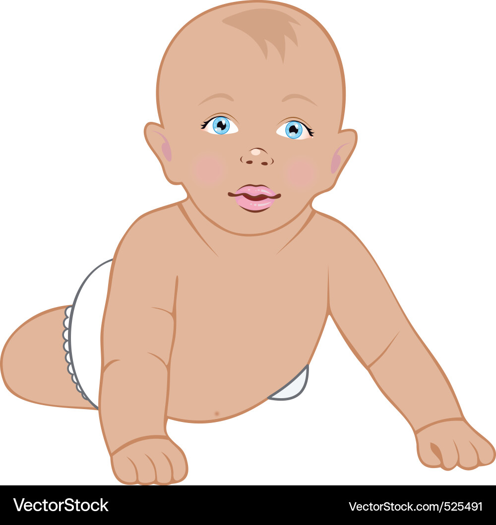 Baby crawling isolated on white Royalty Free Vector Image