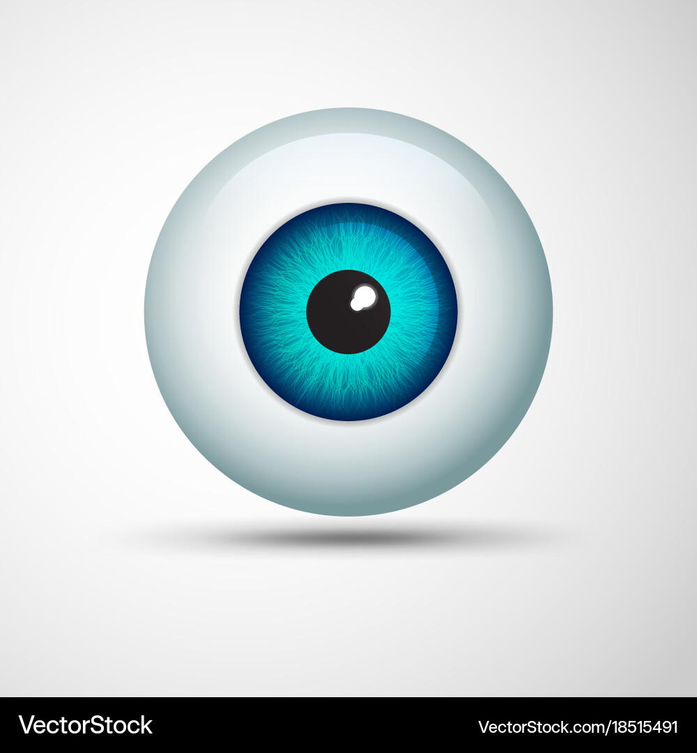 Eye ball Royalty Free Vector Image - VectorStock