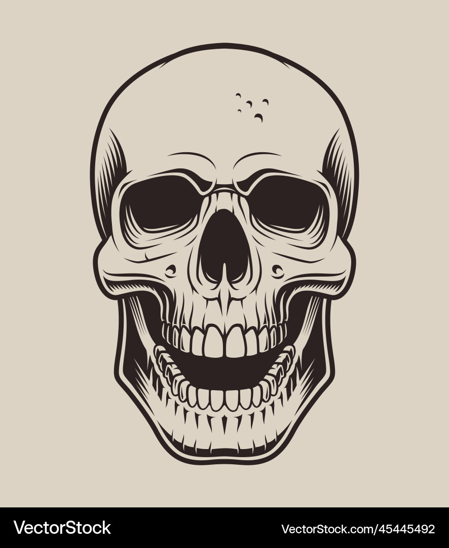 Skull Royalty Free Vector Image - VectorStock
