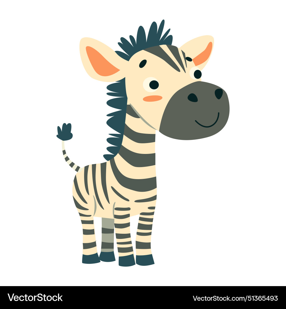 Zebra hand drawing on white Royalty Free Vector Image