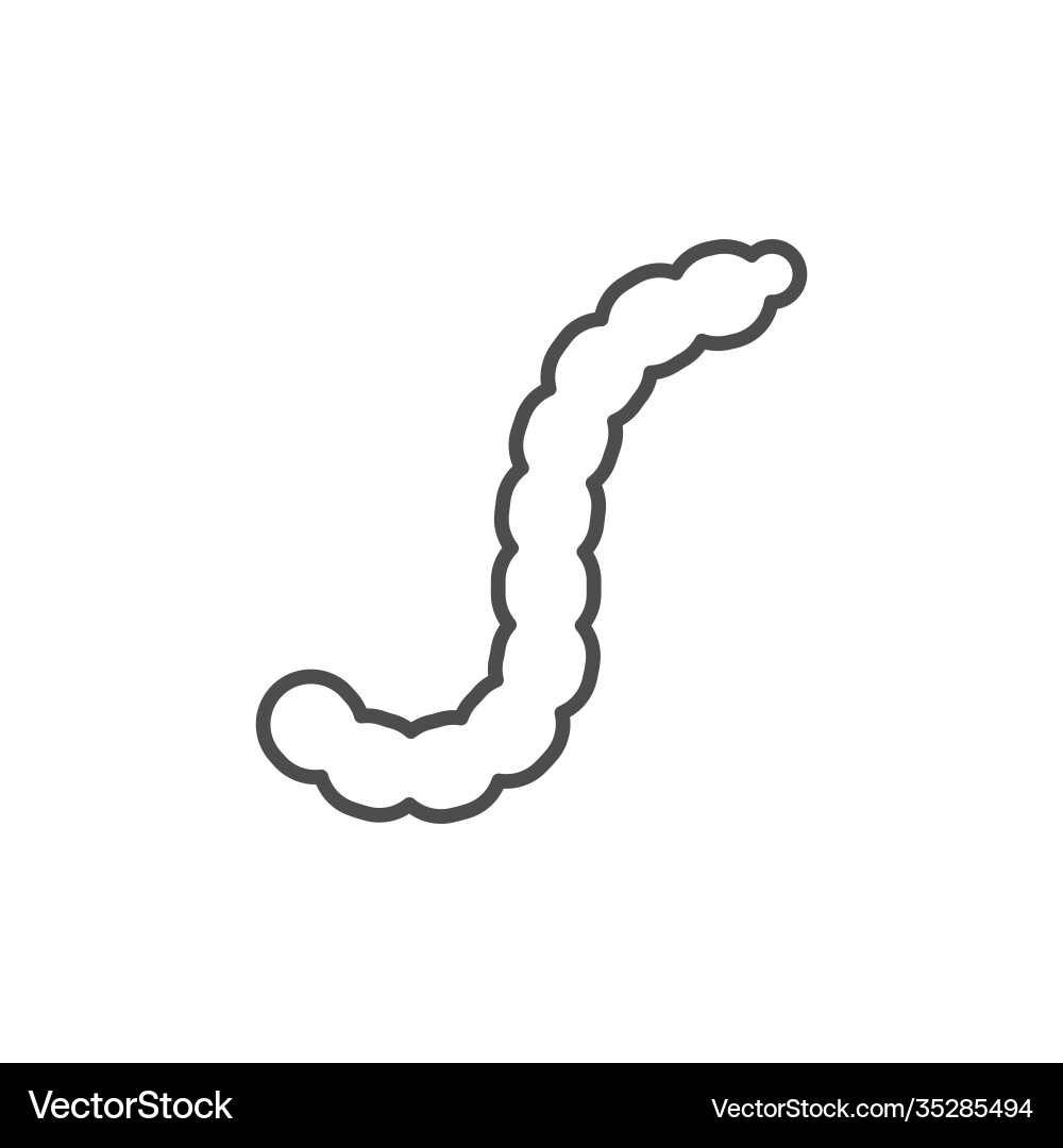Caterpillar line outline icon or insect concept Vector Image