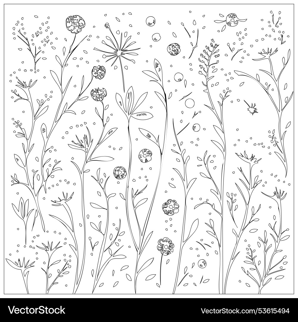 Wildflowers flower pattern outline sketch Vector Image