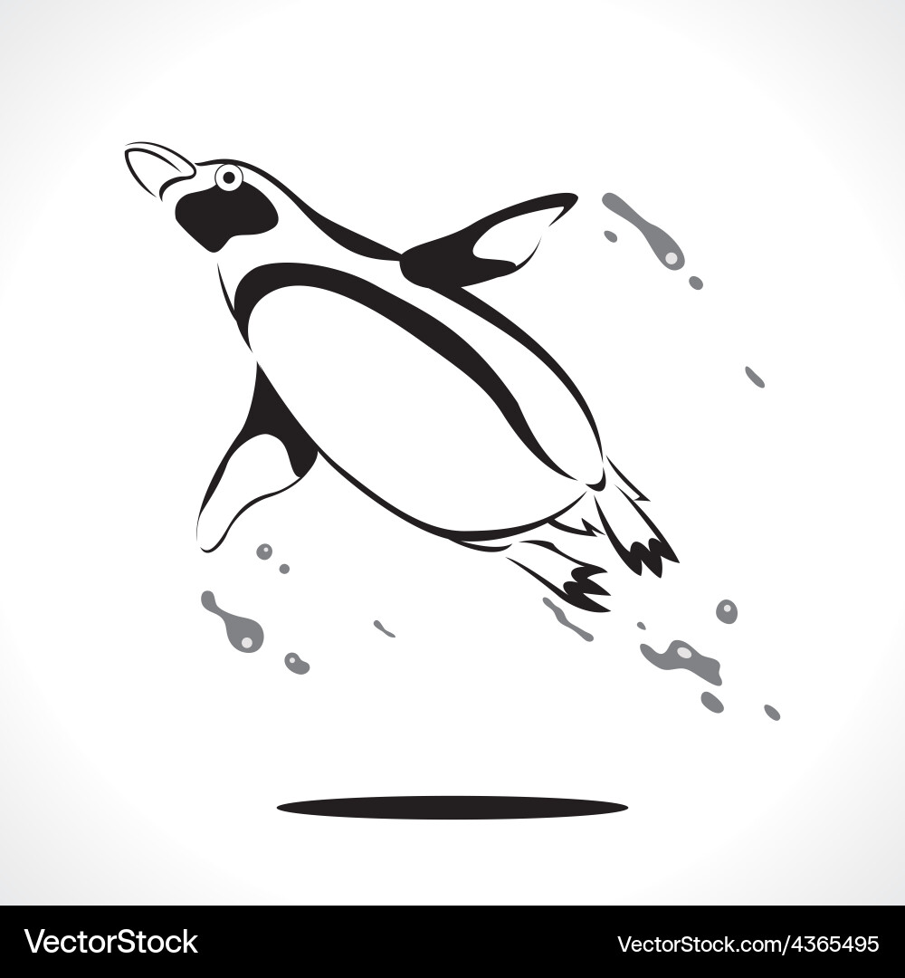 Penguin 4 Royalty Free Vector Image - VectorStock